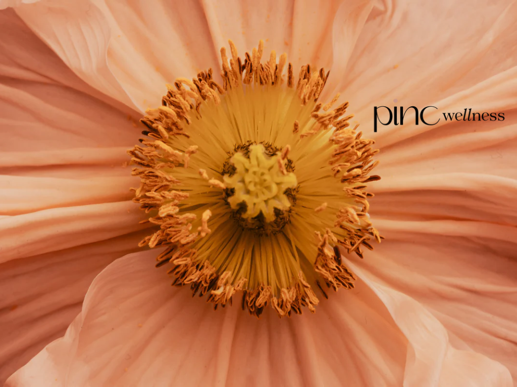 From Chronic BV to Relief – Our Vaginal Health Journey | Pinc Wellness